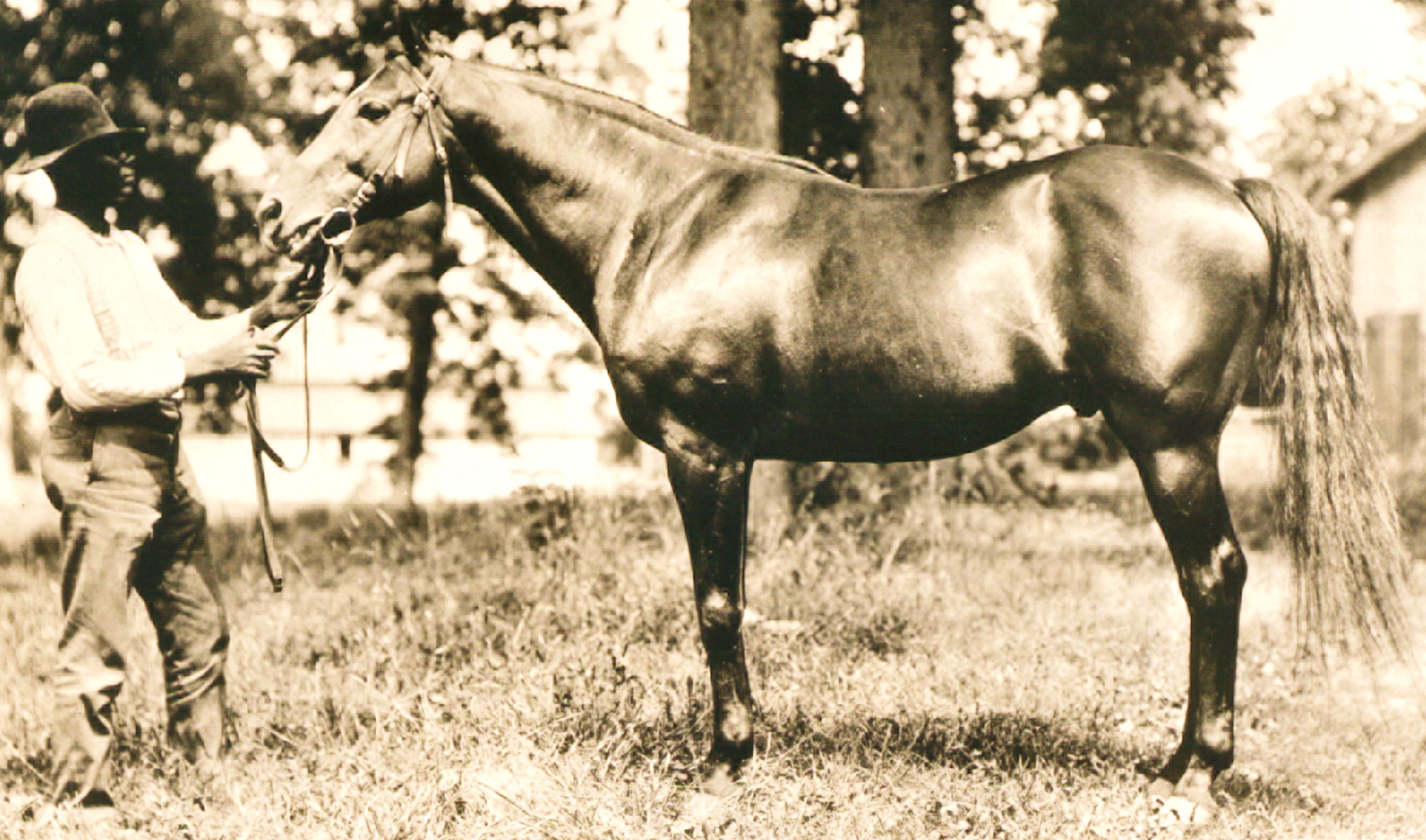Ben Brush (KY) | National Museum of Racing and Hall of Fame